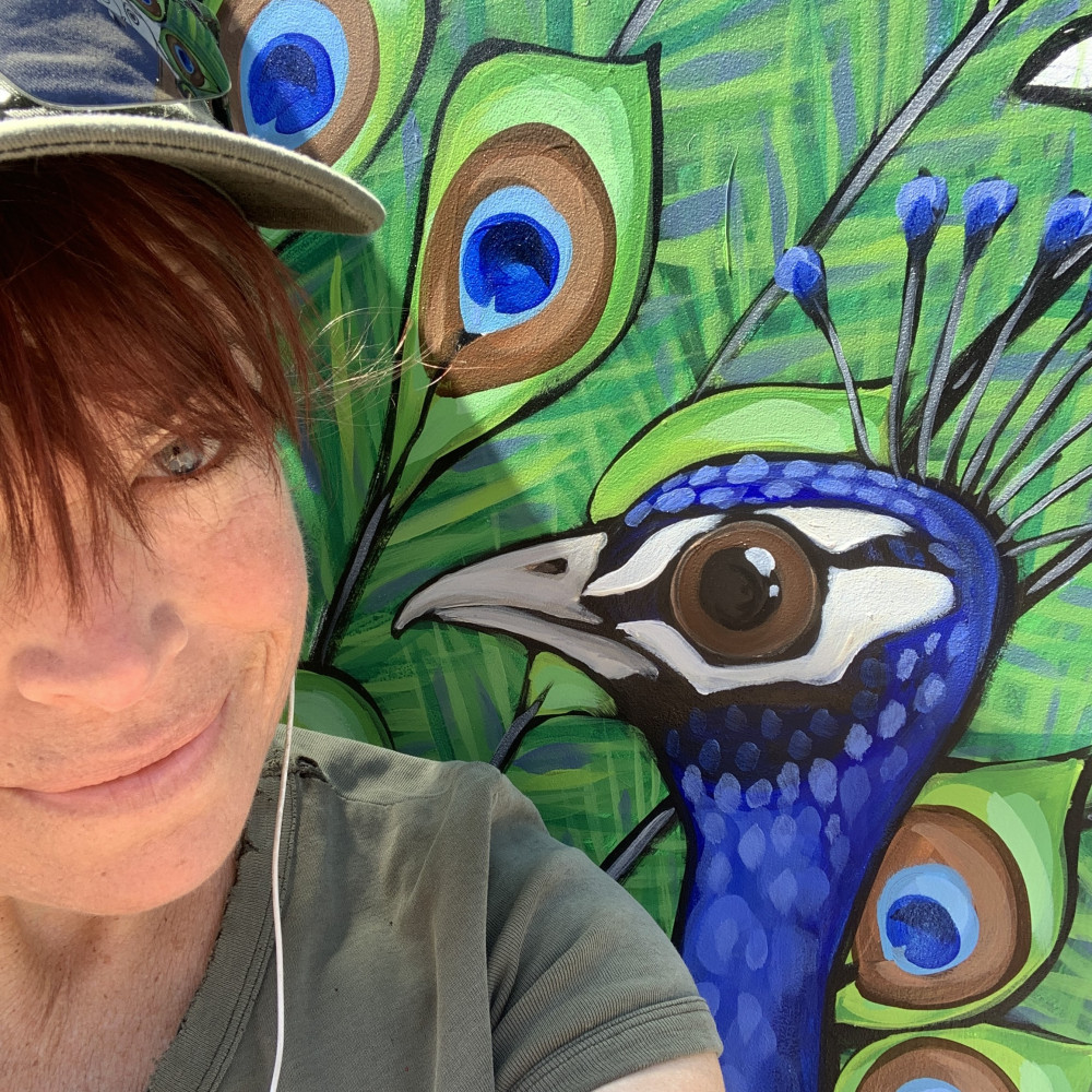 OVERLAP I, II, III - City of Fort Collins