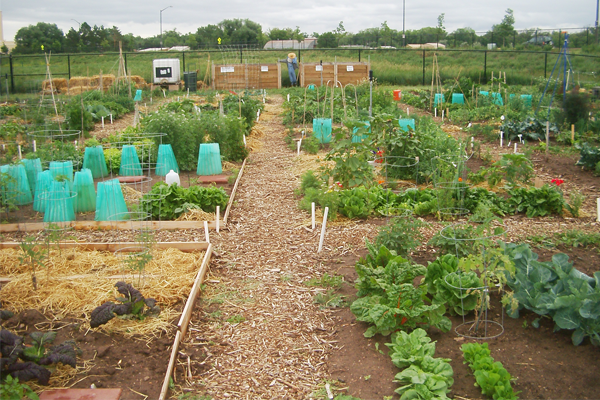 Community Gardens | The Gardens on Spring Creek