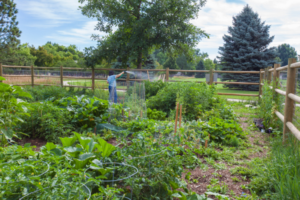 Community Gardens | The Gardens on Spring Creek