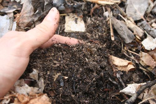 Adult Classes | The Gardens on Spring Creek