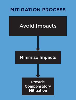 FAQs - City of Fort Collins